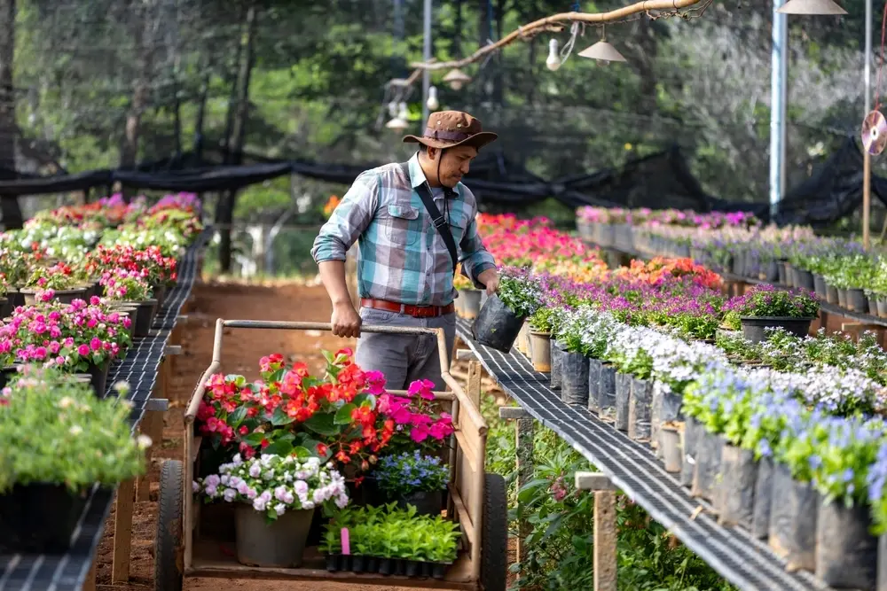 How To Design a Garden Center: 6 Ideas